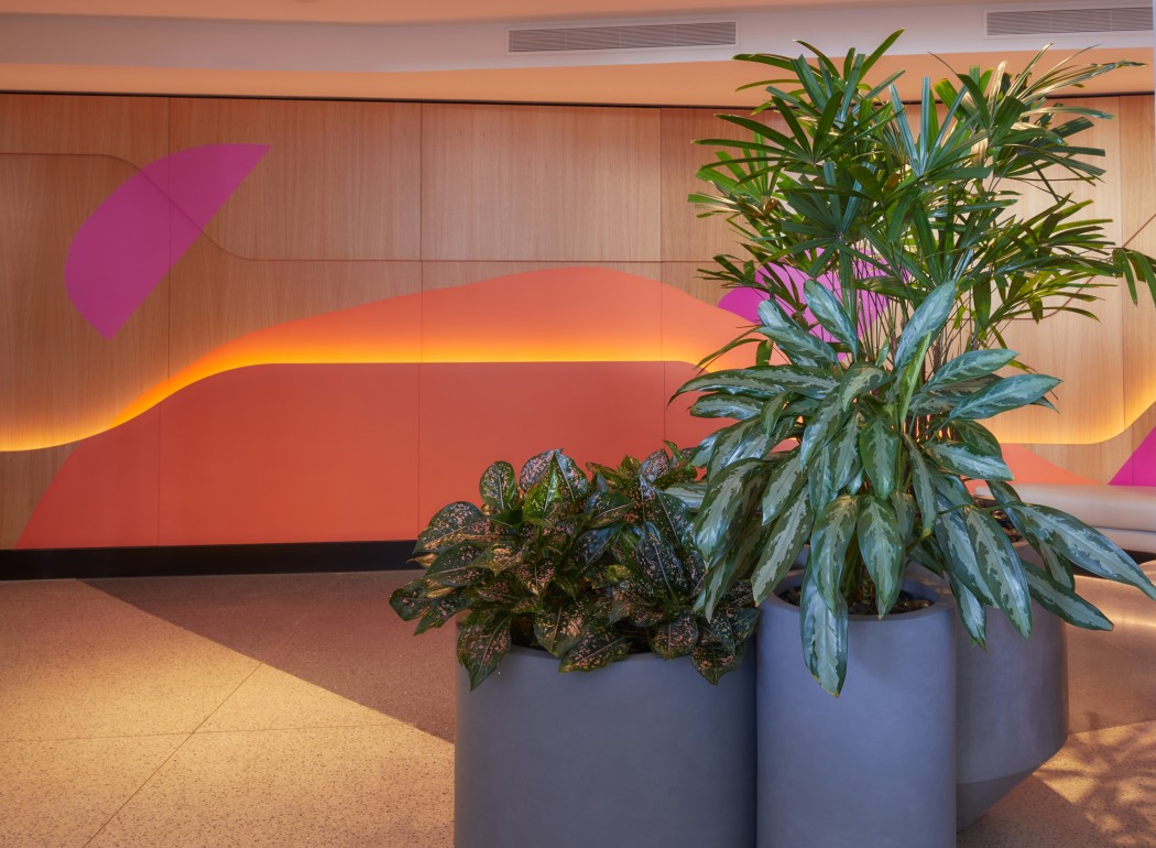 The Benefits Of Short Term Plant Rental When Organising Events | London ...